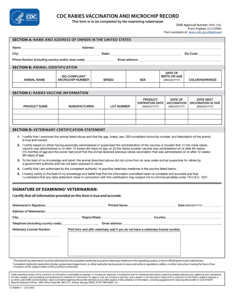 Transporting animals to the USA - Deloropets